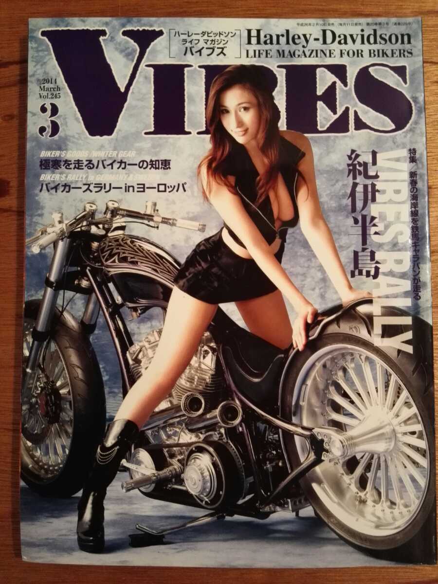 【目立った傷や汚れなし】vibes バイブズ 2014年 3月 Vol 245 Julia の落札情報詳細 ヤフオク落札価格検索 オークフリー