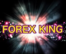 【未使用】【即納★厳選FX商材】定価100,000円★FX上級者を目指せる手法、秘伝の手法教えます FOREX KING 為替王の落札情報詳細 - ヤフオク落札価格検索 オークフリー
