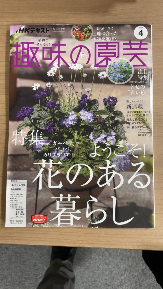 【目立った傷や汚れなし】NHK趣味の園芸2022年4月号 ガーベラ/バコバ/カリブラコア/ようこそ！花のある暮らし/ブルーの花ほか 〒185円 の落札情報詳細| ヤフオク落札価格情報 オークフリー
