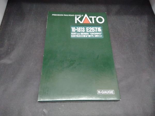 【やや傷や汚れあり】Nゲージ KATO 10-1613 E257系2000番台「踊り子」 9両セットの落札情報詳細 - ヤフオク落札価格検索 オークフリー