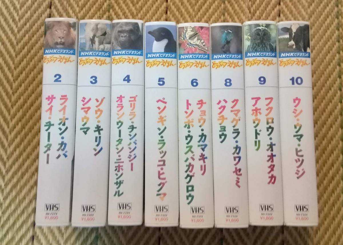 【目立った傷や汚れなし】NHKビデオランド どうぶつえほん VHS ビデオテープ8本 監修 小森厚 ゾウ ライオン キリン ウマ 動物のビデオ 1988年 動物映画の落札情報詳細 ...