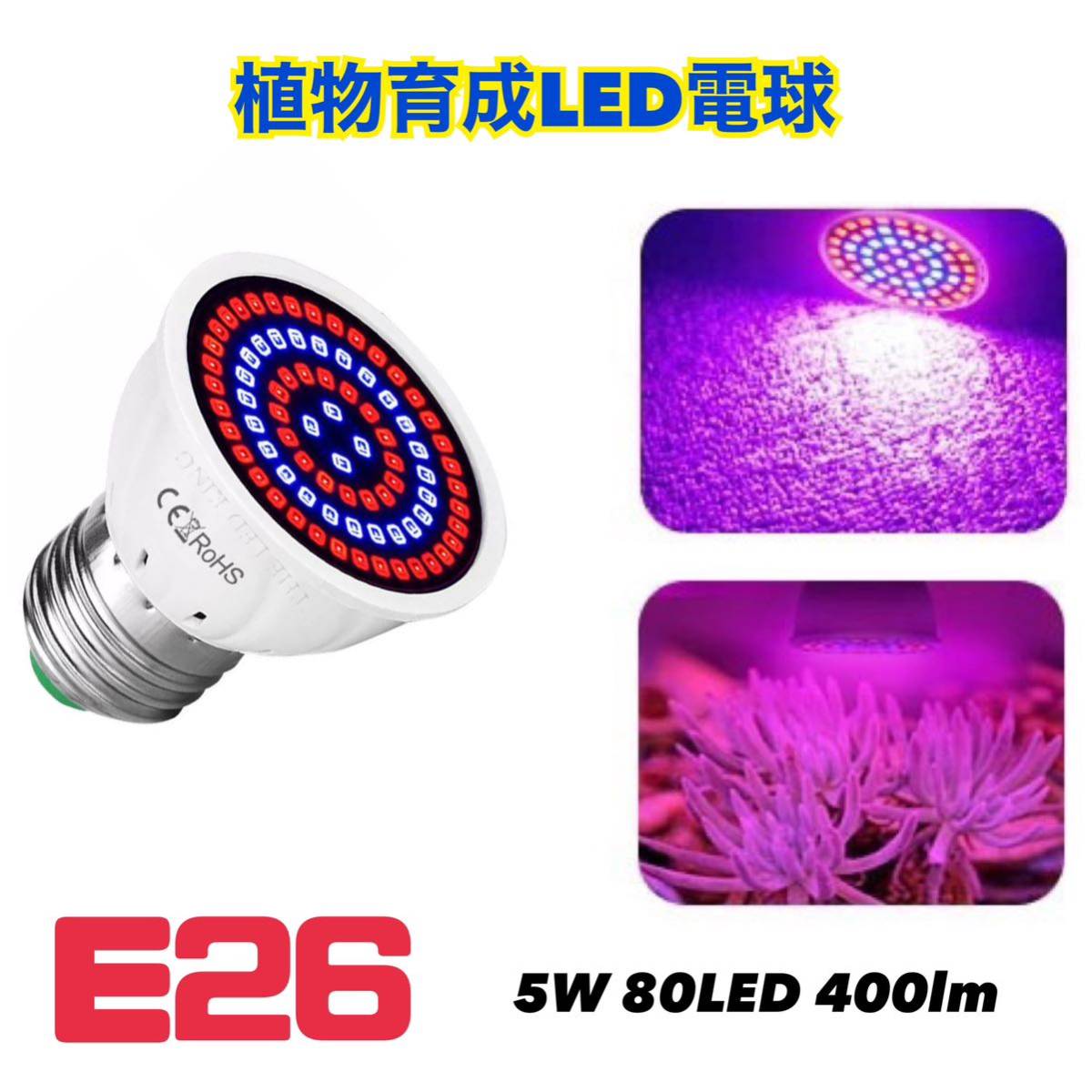 【未使用】植物育成 LED電球 赤 青 LED E26口金 5W 80LED 【送料無料】観葉植物 多肉植物 成長促進 室内栽培 水槽 アクアリウム 熱帯魚 海水魚の落札情報詳細 ...