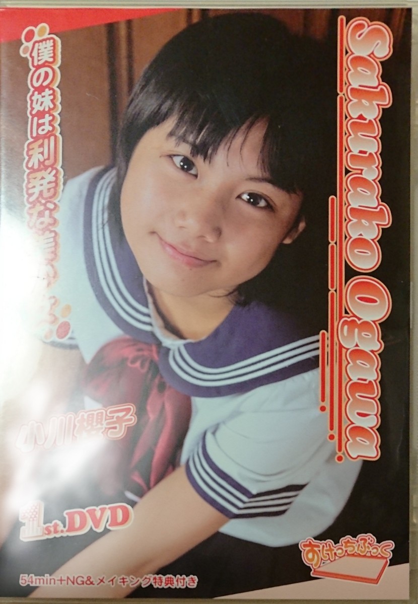 【目立った傷や汚れなし】小川櫻子 Dvd「すけっちぶっく ボクの妹は利発な美少女」デビュー作品 激レア作品 中古 廃盤 入手困難 匿名配送の
