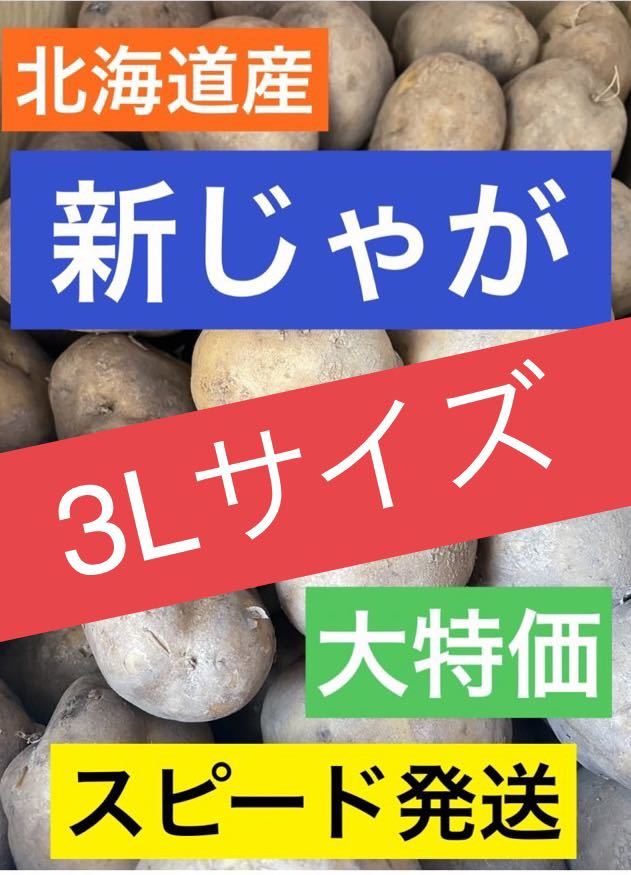 【未使用】【数量限定】北海道 じゃがいも 新じゃが 男爵 サイズ3L 約9.5kgの落札情報詳細 - Yahoo!オークション落札価格検索 オークフリー