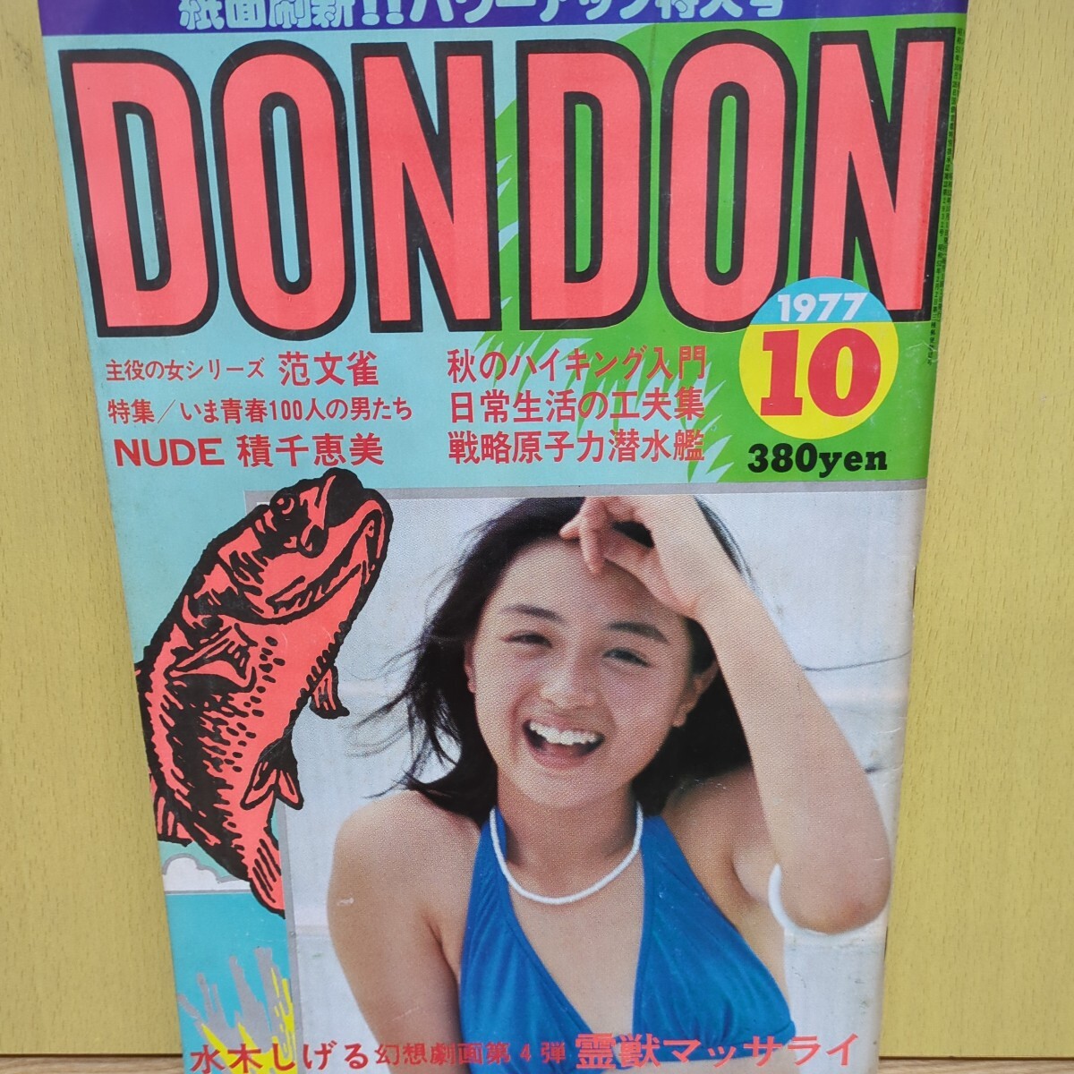 【傷や汚れあり】DONDON 1977年10月号 浅野ゆう子 ピンナップ・ジャンボポスター有 池田ひろ子 有吉ジュン 水木しげる 霊獣マッサライ 幻想劇画 の落札情報詳細 - Yahoo ...