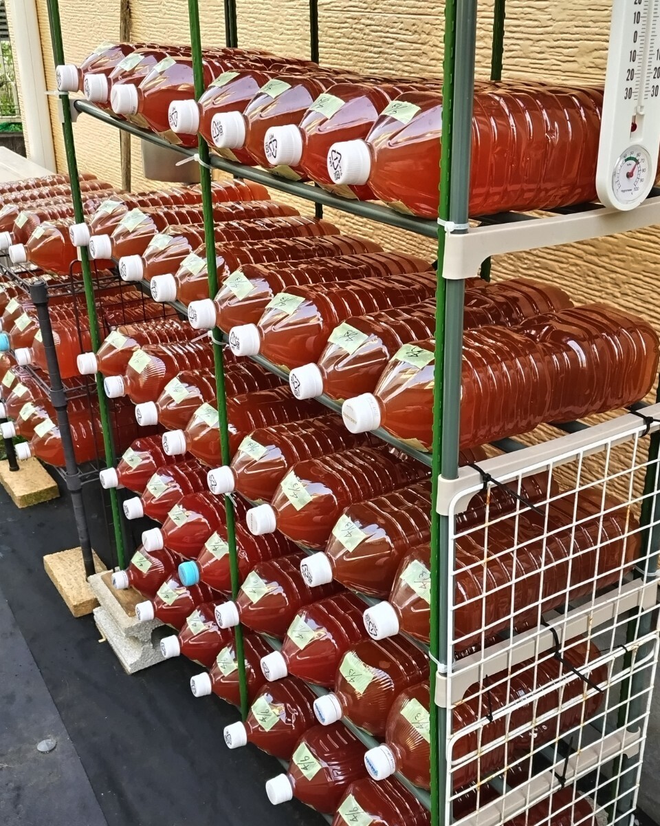 【未使用】【12L】PSB光合成細菌②【めだか_はむらん】psb メダカ 水質浄化 農業 土壌改良 うどんこ病防止 無農薬 の落札情報詳細 - Yahoo!オークション落札価格検索 オークフリー