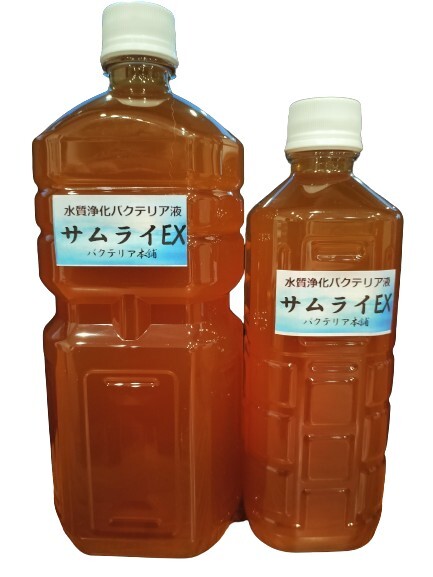 【未使用】【バクテリア本舗】サムライEX（1.5L）高濃度水質浄化複合バクテリア液 PSB/バチルス菌効果の落札情報詳細 - Yahoo!オークション落札価格検索 オークフリー