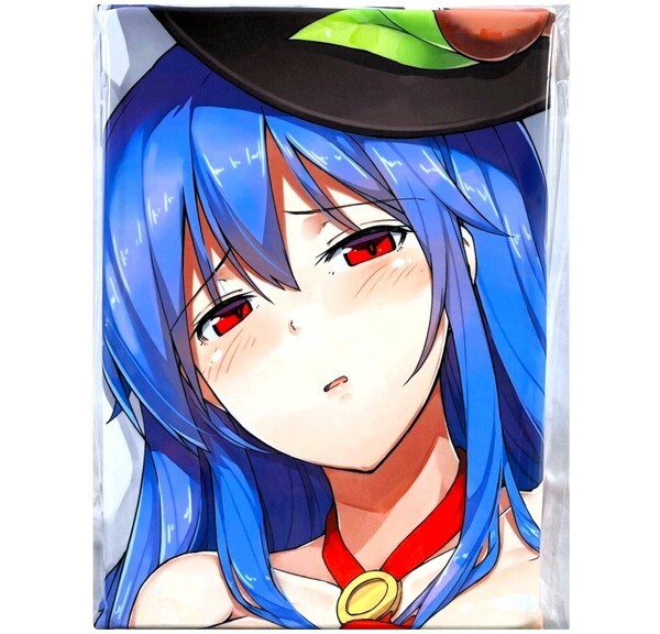 【未使用に近い】あぶら畑牧場 neropaso 東方Project 比那名居天子 抱き枕カバー / フレス製 アクアライクラ C89 コミケ 【匿名配送】の落札情報詳細 - Yahoo ...