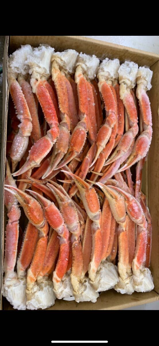 【未使用】【見入抜群】本ズワイガニ 約10kg L〜3L 不揃いの落札情報詳細 - Yahoo!オークション落札価格検索 オークフリー