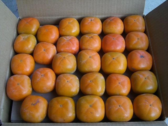 【未使用】★ 奈良県西吉野産 ★たねなし柿★家庭用7.5kgサイズ2S～Sミックス★の落札情報詳細 - Yahoo!オークション落札価格検索 オークフリー