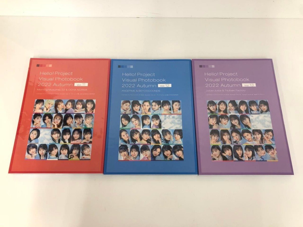 【やや傷や汚れあり】 【写真集 Hello! Project Visual Photobook 2022 Autumn Vol.11~13 ...