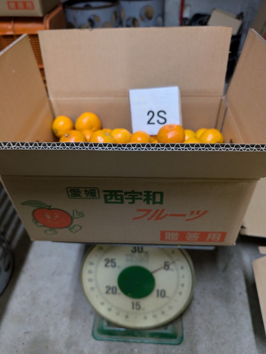 【傷や汚れあり】愛媛西宇和産 南柑20号みかん 2S 5kgの落札情報詳細 - Yahoo!オークション落札価格検索 オークフリー