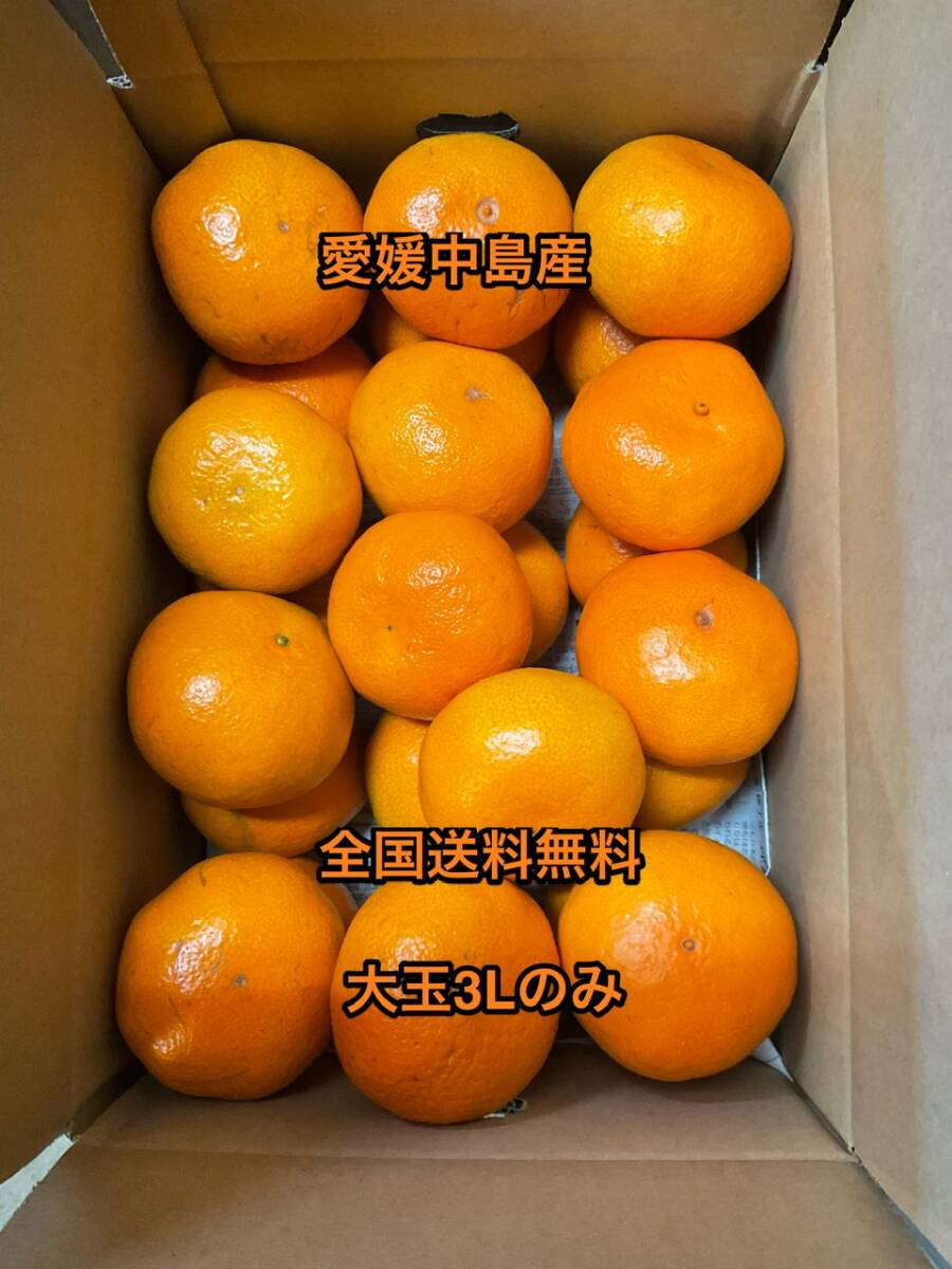 【やや傷や汚れあり】⑤ 全国送料無料 宮川早生みかん 大玉3Lのみ 箱込み5kg 愛媛中島産 の落札情報詳細 - Yahoo!オークション落札価格検索 オークフリー