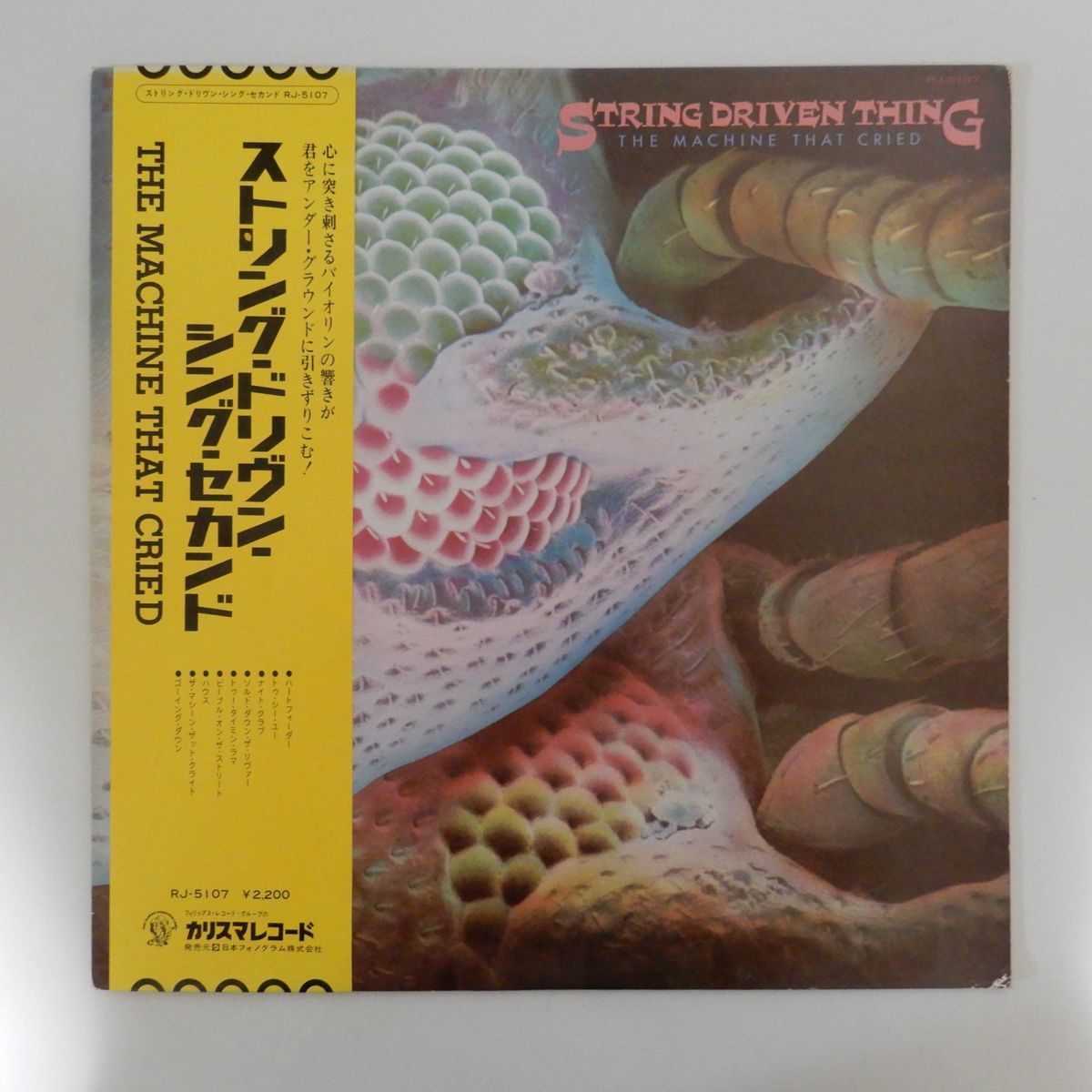 13021483;【帯付】String Driven Thing / The Machine That Criedの落札情報詳細 - ヤフオク落札価格検索 オークフリー