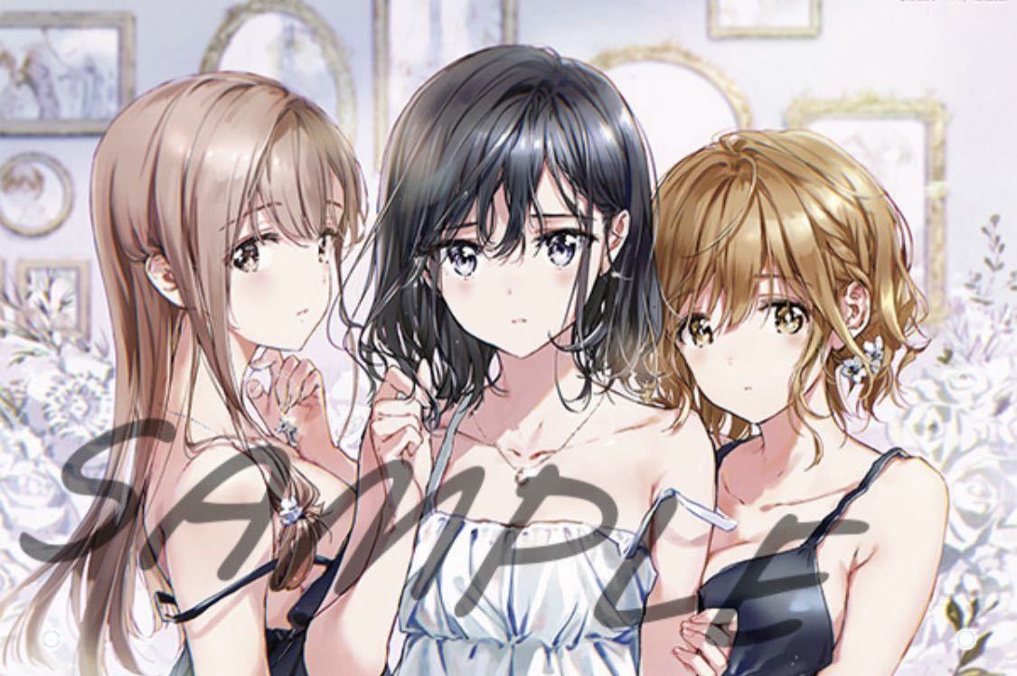 【新品】Tiv画集 [プラトニカ/ルミナスター] メロンブックス限定 A4アクリルパネル 検 atelier Tiv artworks 政宗くんのリベンジ 愛姫の落札情報詳細 - ヤフオク落札 ...