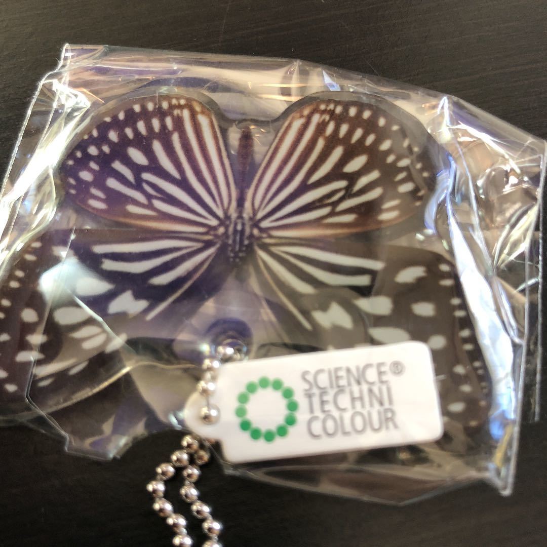 【未使用に近い】サイエンステクニカラー 鱗翅学者の私的標本マスコット ストラップ 琉球マダラ蝶 リュウキュウアオサキマダラ SCIENCE TECHNI COLOUR の落札情報詳細 ...