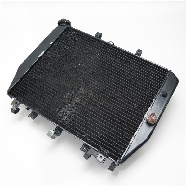 【傷や汚れあり】♪ZX-12R/ZXT20B/B2 純正 ラジエーター/ラジエターファン(K1027A14)の落札情報詳細 - ヤフオク落札価格検索 オークフリー