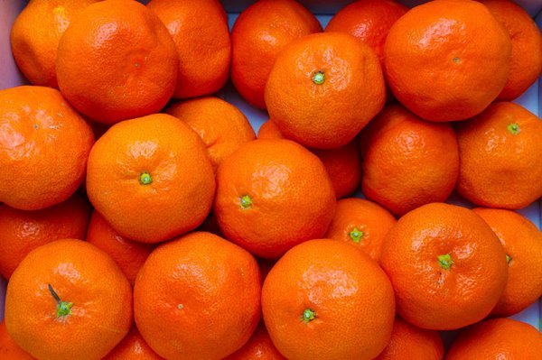 【未使用】【限定2箱】話題のみかん 香川県産 小原紅早生みかん 2L～3Lサイズ 約5kg 1円スタート！の落札情報詳細 - ヤフオク落札価格検索 オークフリー