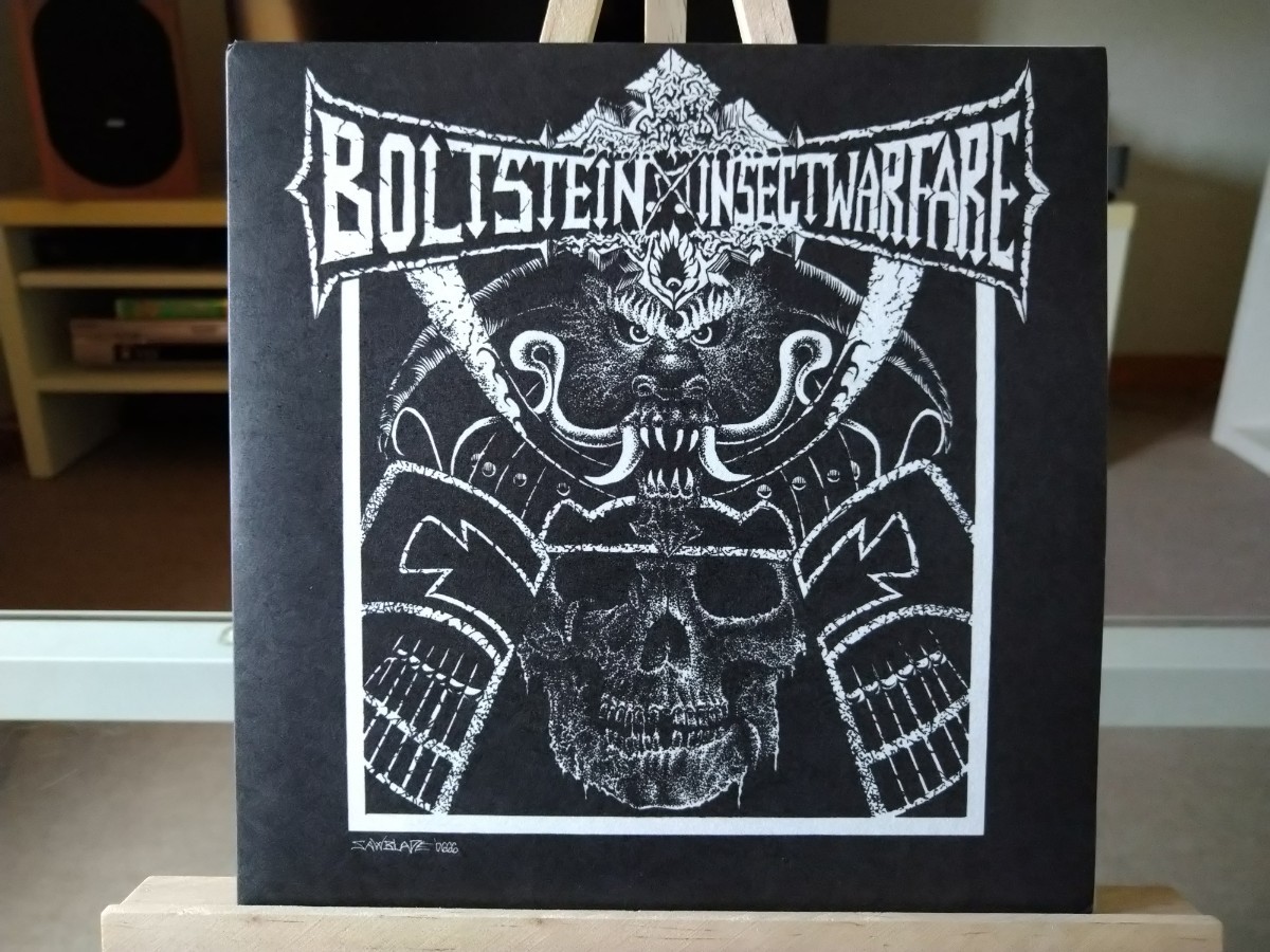 【やや傷や汚れあり】boltstein / insect warfare「split」ep rescued from life records ...