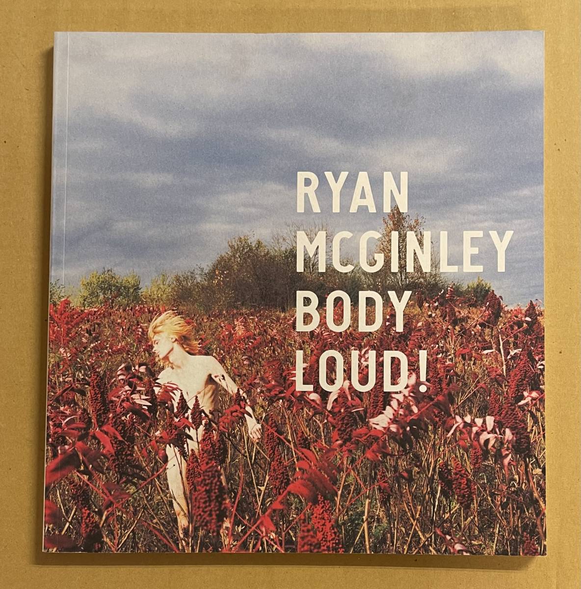 【やや傷や汚れあり】ライアン・マッギンレー BODY LOUD! RYAN MCGINLEY 写真集の落札情報詳細 - Yahoo ...
