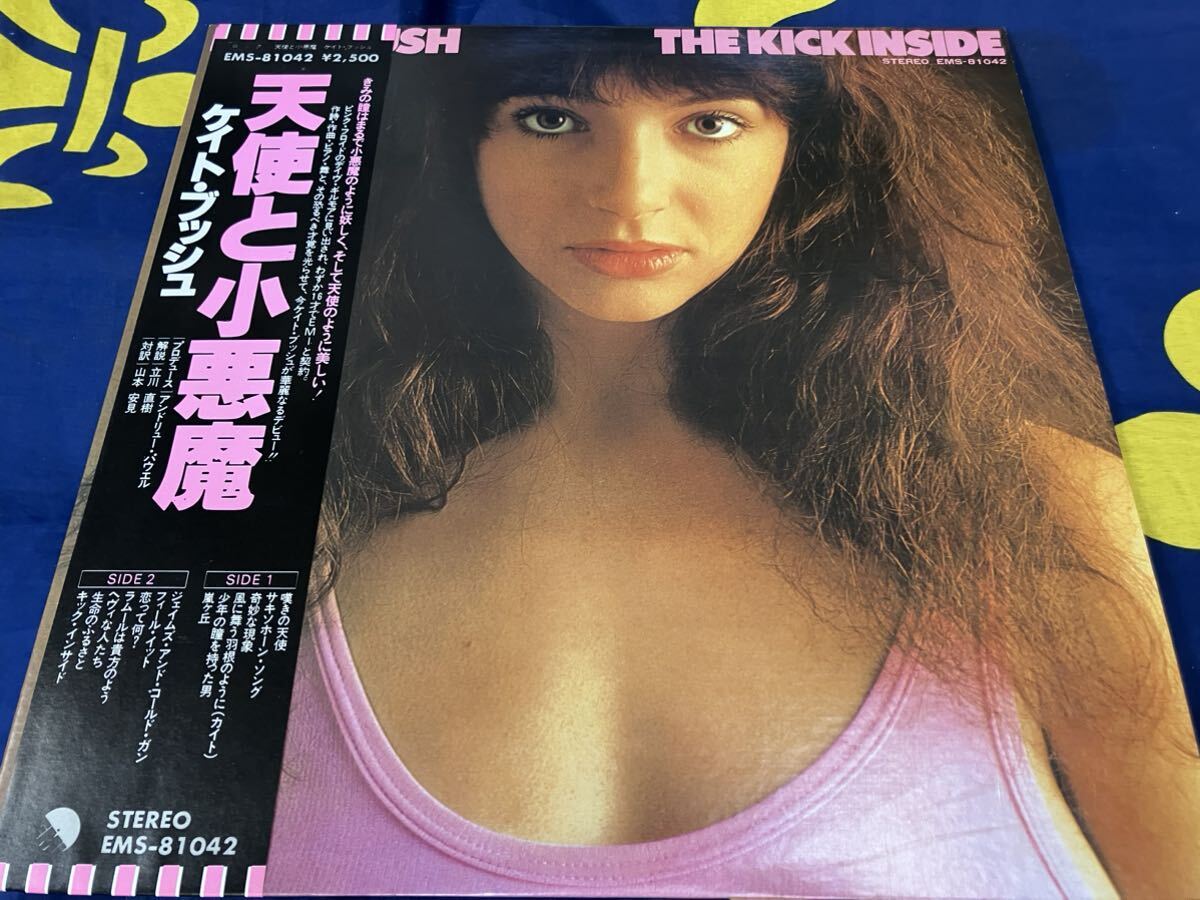 【目立った傷や汚れなし】kate Bush★中古lp国内盤帯付「ケイト・ブッシュ~天使と小悪魔 」の落札情報詳細 ヤフオク落札価格検索