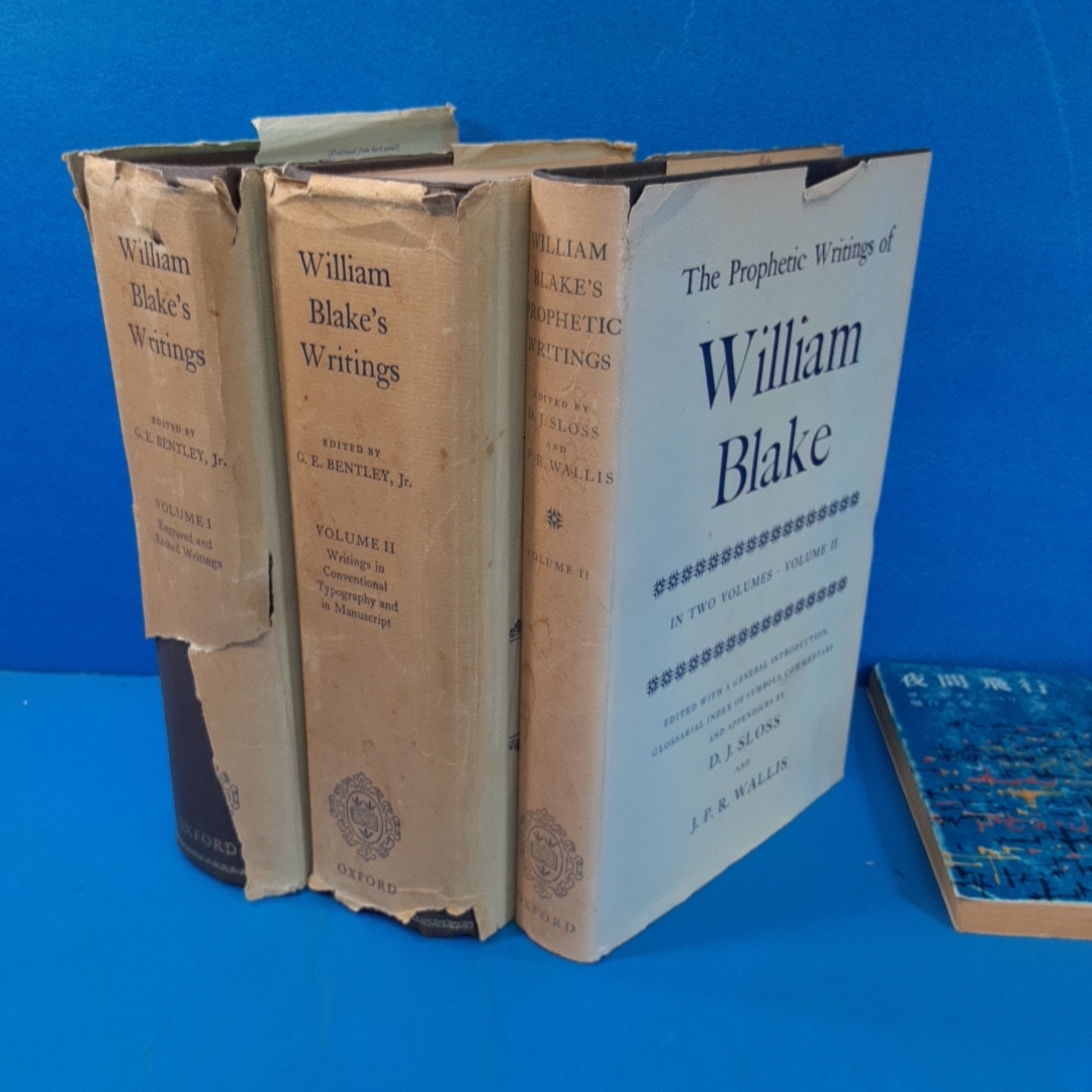 【傷や汚れあり】r0404-4.ウィリアム・ブレイク 書籍まとめ/WILLIAM BLAKE/洋書/詩/英米文学/イギリス文学/文芸評論/批評 ...