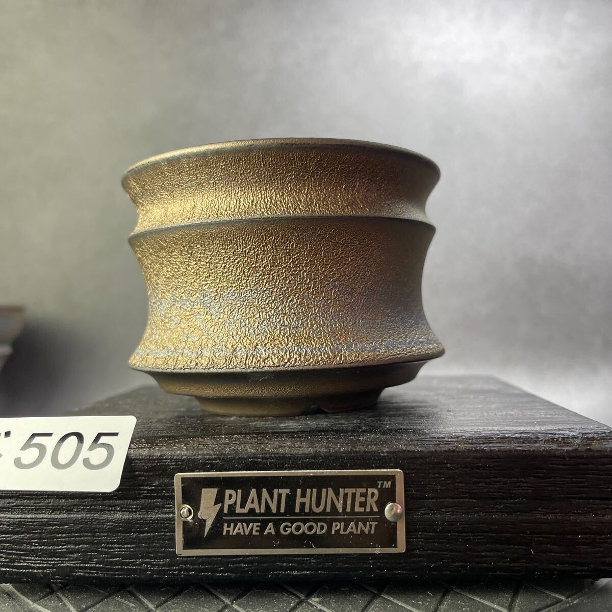 【未使用】じ505 Mサイズ 植木鉢 陶器 検（塊根植物 アガベ パキプス invisible ink raw life factory SRL 信楽焼 伝市鉢カタチ製作所 グラキリス)の落札 ...