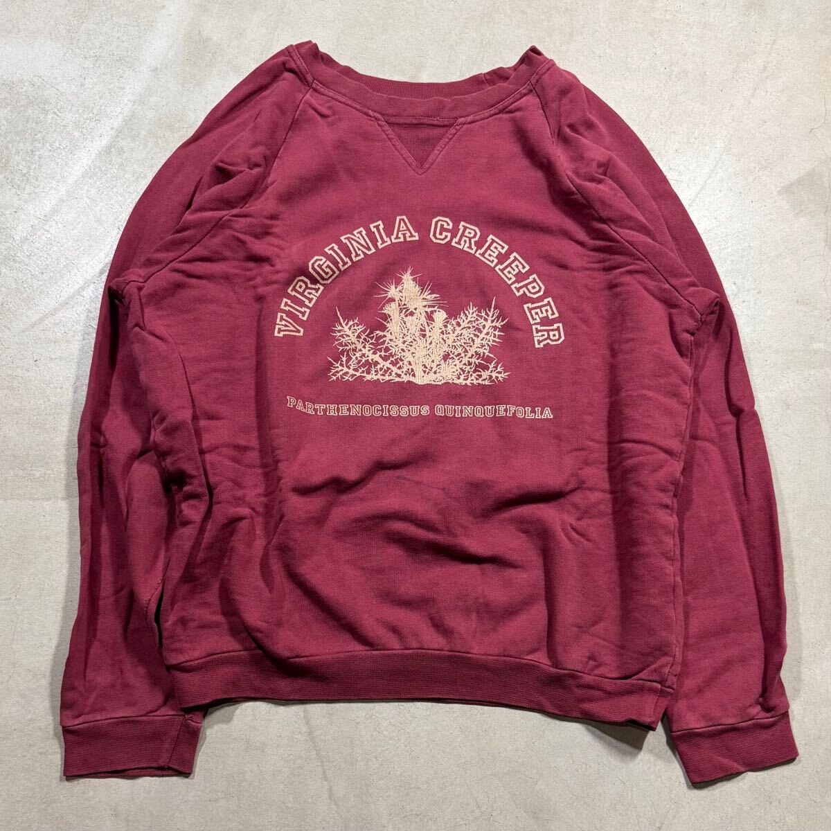 【やや傷や汚れあり】RAF SIMONS 2002AW Virginia Creeper Archive Sweatshirt rare ...