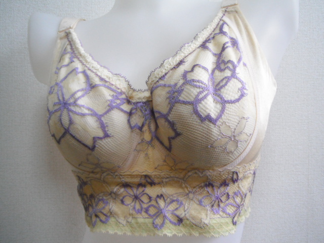 【目立った傷や汚れなし】 マルコ MARUKO ベルアージュ アヴァンセ サクラ E75 セミロング ブラジャー サロン 高級補正下着の落札情報詳細 - Yahoo!オークション落札価格検索 ...