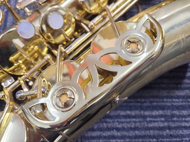 【傷や汚れあり】YANAGISAWA Prima A-50 アルトサックス ケース付き ヤナギサワ 1円~ Y8441の落札情報詳細 - Yahoo!オークション落札価格検索 オークフリー