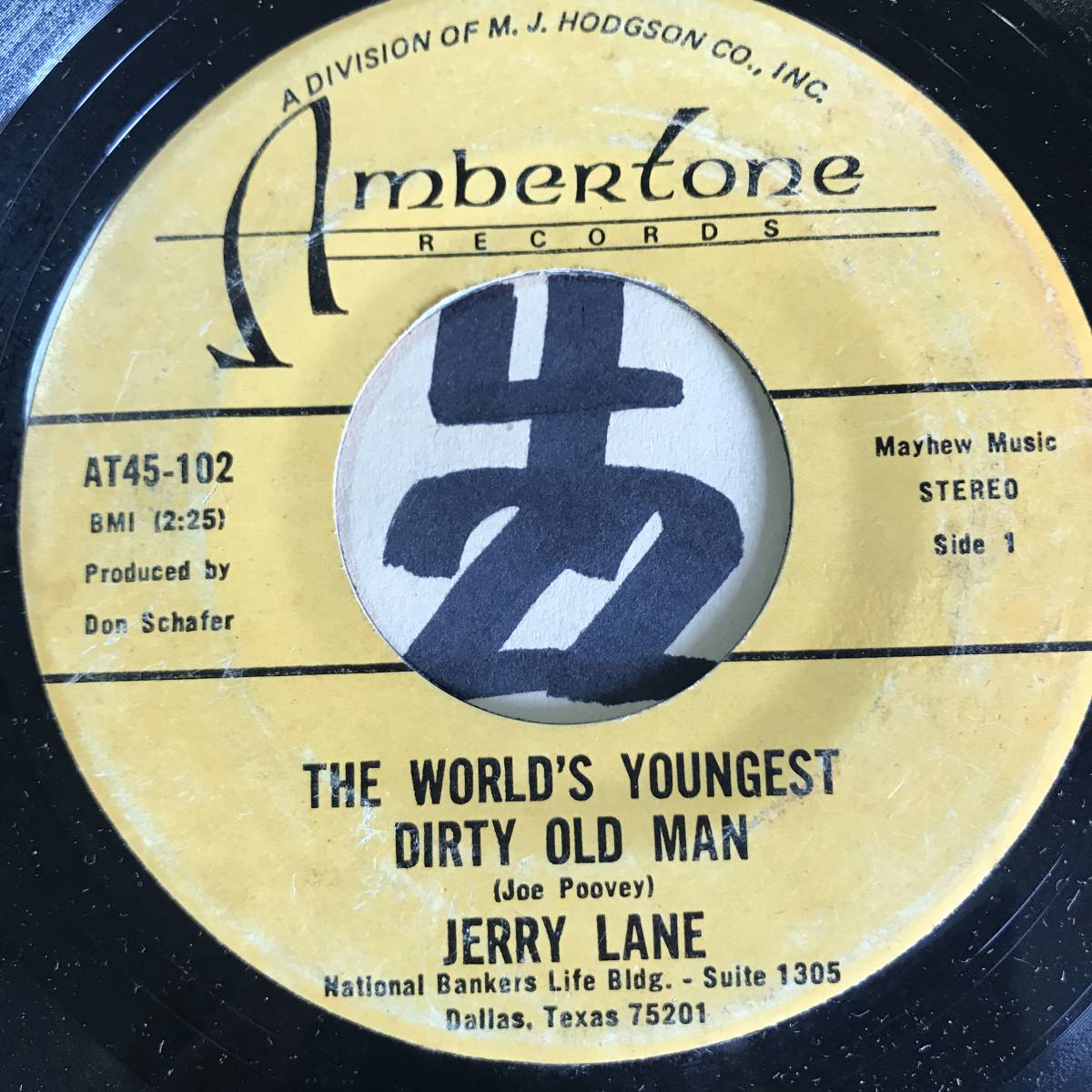 【傷や汚れあり】試聴 スワンプ/カントリー/パブ・ロック JERRY LANE THE WORLD’S YOUNGEST DIRTY OLD ...