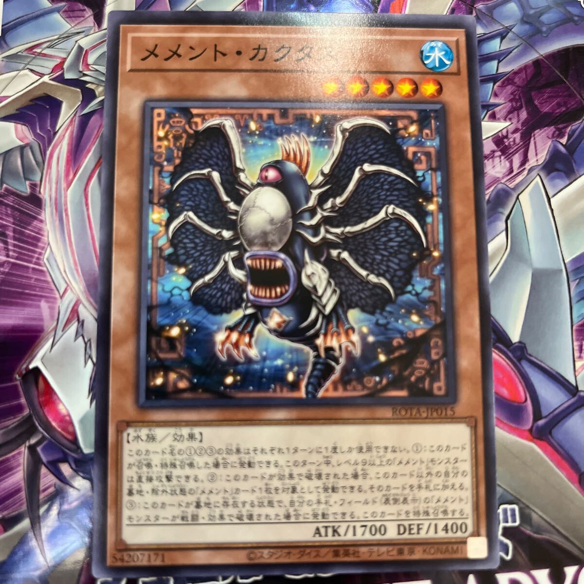 【未使用】遊戯王 ノーマル ROTA-JP015 メメント・カクタス RAGE OF THE ABYSSの落札情報詳細 - Yahoo!オークション落札価格検索 オークフリー