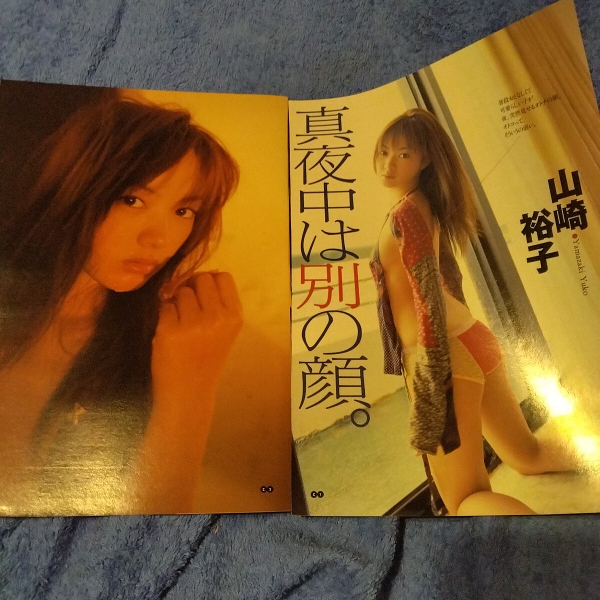 【目立った傷や汚れなし】山崎裕子 ランジェリー 切り抜き 4ページ B-5Zの落札情報詳細 - Yahoo!オークション落札価格検索 オークフリー