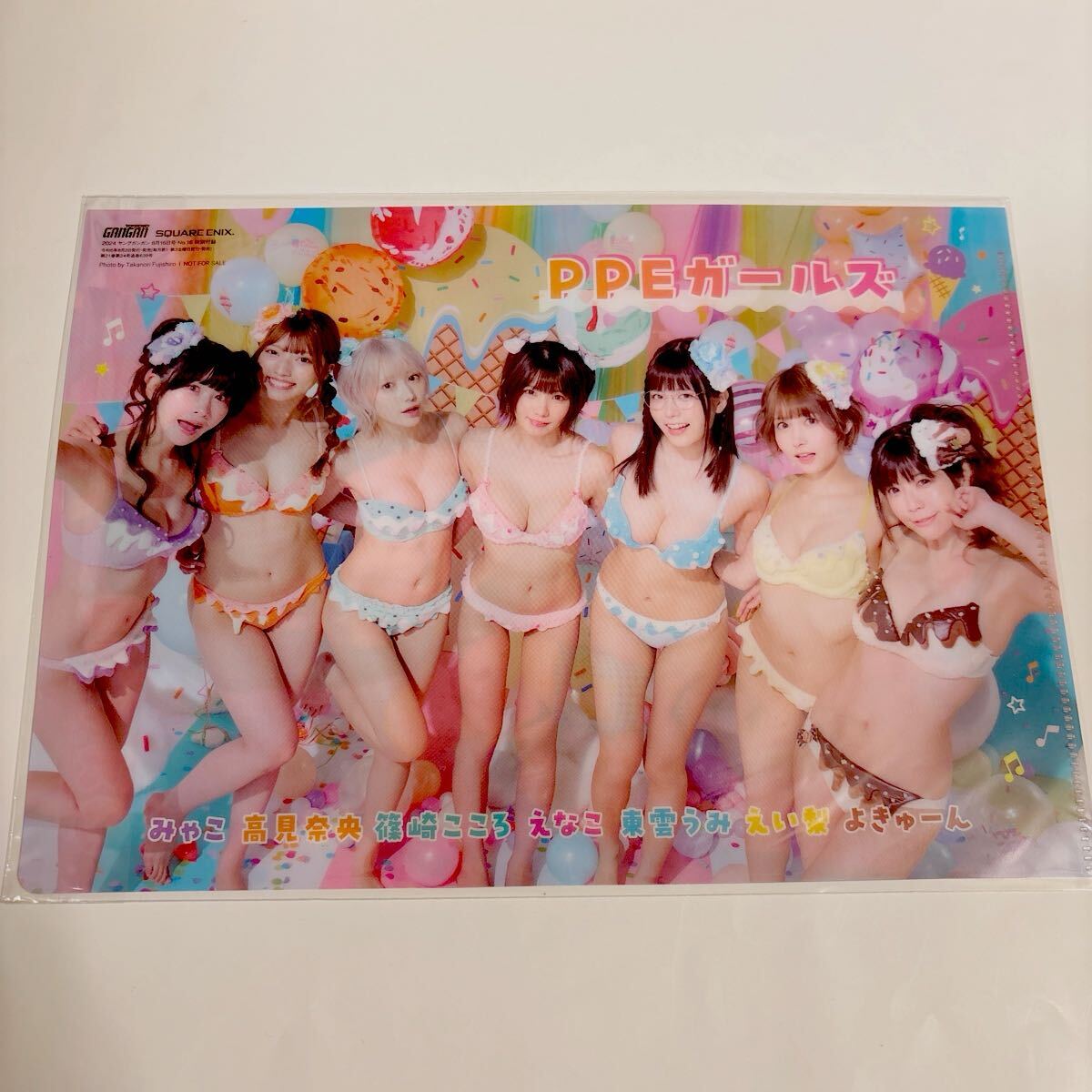 【未使用】PPEガールズ クリアファイル えなこ 篠崎こころ 東雲うみ 高見奈央 えい梨 みゃこ よきゅーん ヤングガンガン 2024年8月16日号 No.16 付録の落札情報詳細 ...