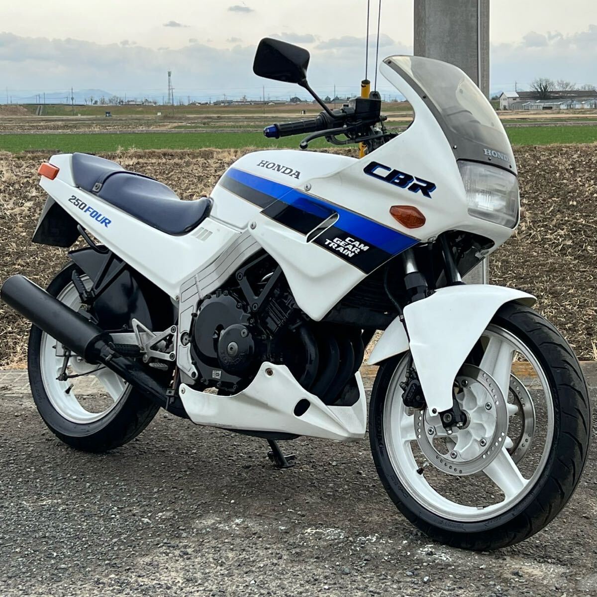 【やや傷や汚れあり】ホンダ CBR250 FOUR MC14 実動 書あり 4スト 人気 綺麗 マニア 現状 レーサー 純正 希少 検) CB CBX CBR MC17 19 22 ハリケーン ...