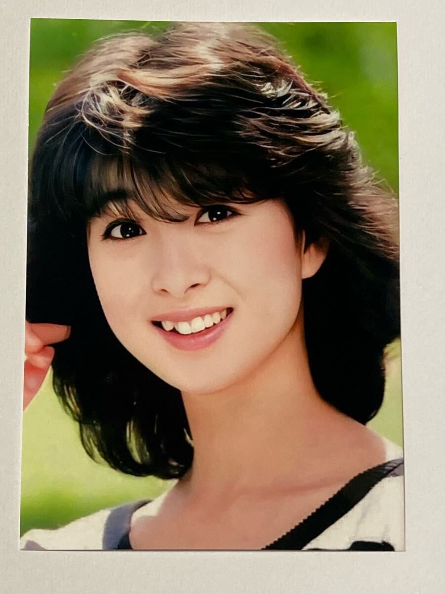 【未使用に近い】河合奈保子 A4サイズ ポスター 写真 A4 アイドル 女優 歌手 296の落札情報詳細 - Yahoo!オークション落札価格検索 オークフリー