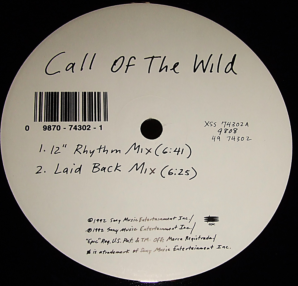 【やや傷や汚れあり】d*tab Call Of The Wikd (Wild Remixes) ['92 House]の落札情報詳細 ...