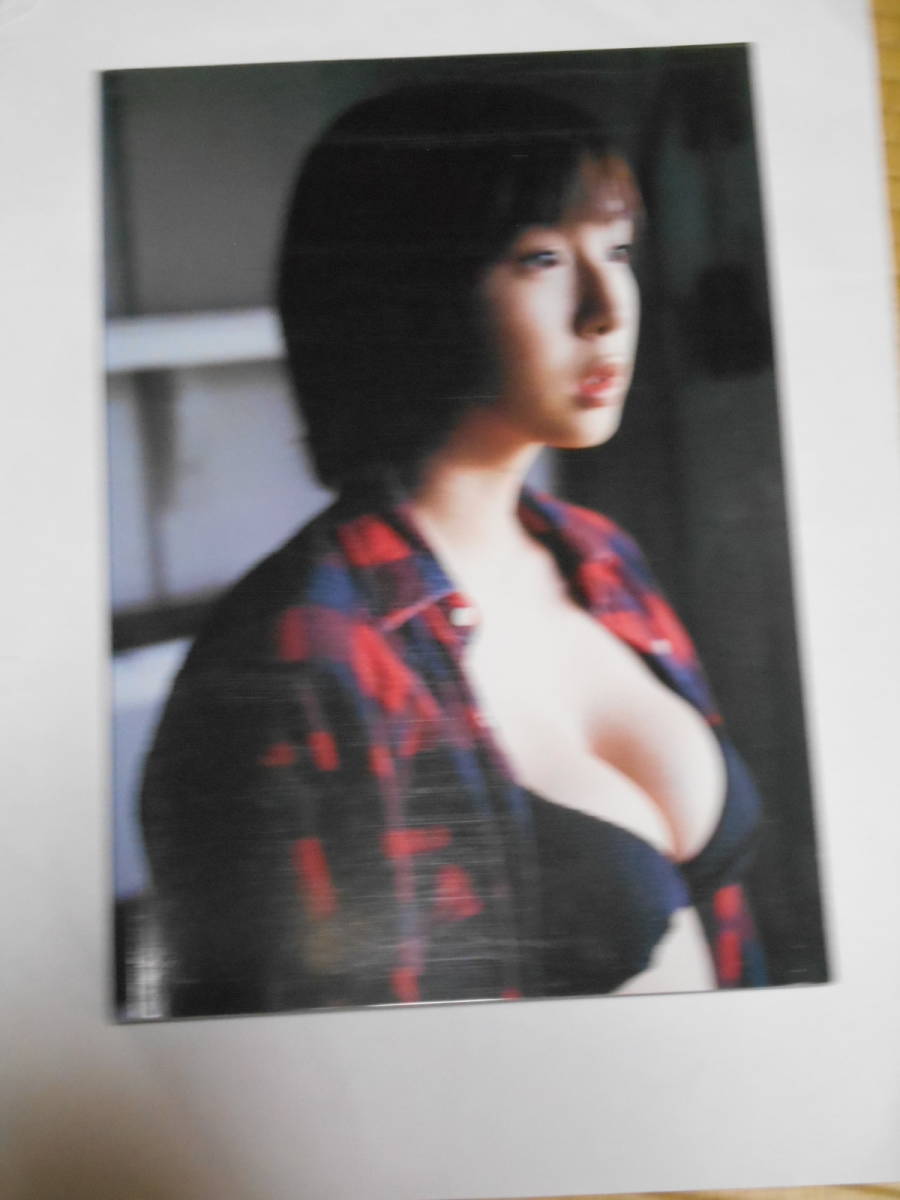 酒井若菜 do-dai フィギュアとケースなしの落札情報詳細 - Yahoo!オークション落札価格検索 オークフリー