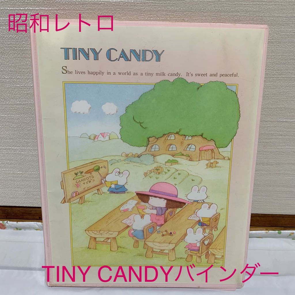【やや傷や汚れあり】昭和レトロ タイニーキャンディ TINY CANDY バインダー 日本製 GAKKEN Victoria Fancy レアの落札情報詳細 - ヤフオク落札価格検索 オークフリー