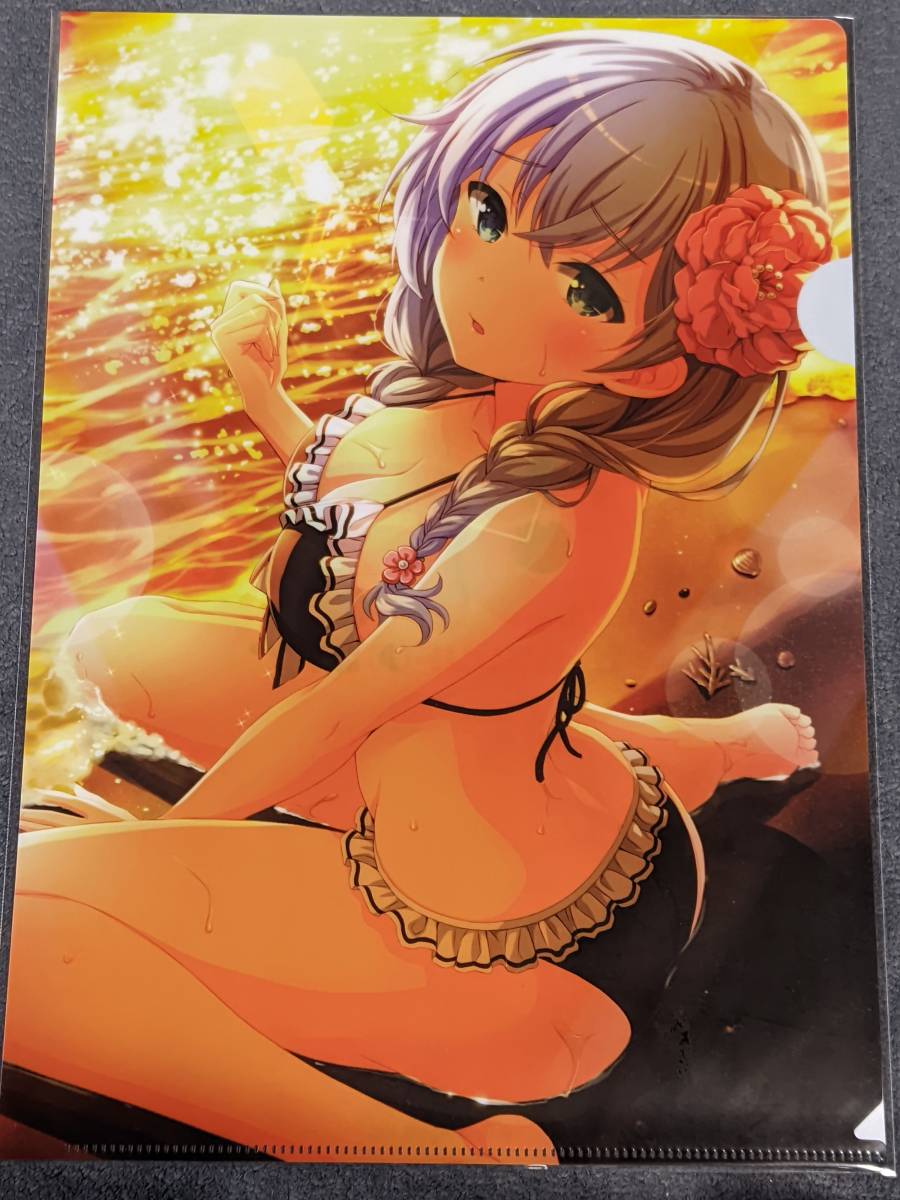 【目立った傷や汚れなし】505クリアファイル ガーリッシュナンバー 2巻 メロンブックス特典 QP:flapper 小原トメ太 さくら小春 の落札情報詳細| ヤフオク落札価格情報 オークフリー