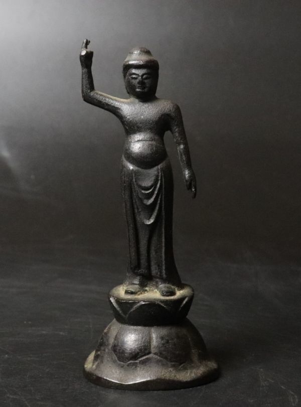 【やや傷や汚れあり】仏教美術 古銅 誕生仏 釈迦如来立像 仏像 TK066の落札情報詳細 - ヤフオク落札価格検索 オークフリー