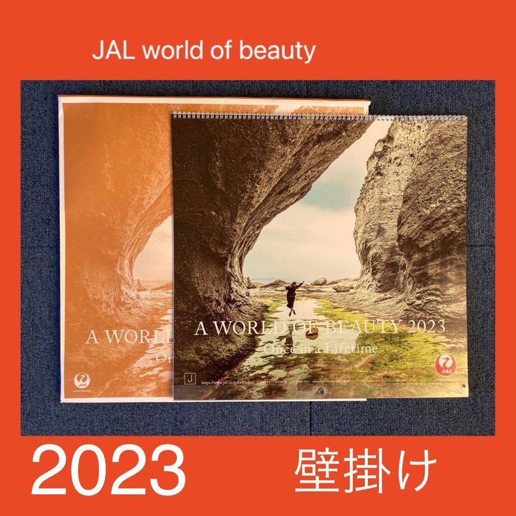 【未使用】壁掛け JAL 2023 カレンダー A WORLD OF BEAUTY JALカレンダー 世界の美女 日本航空 壁掛け JAPAN AIRLINES の落札情報詳細| ヤフオク落札 ...