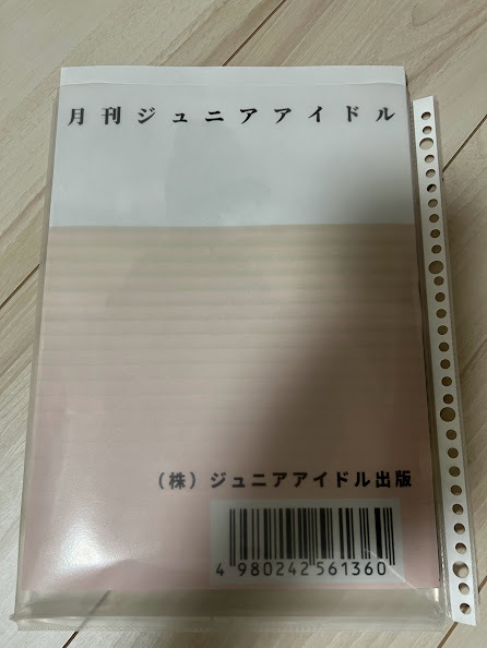 【未使用】Anna Ancenis 月刊ジュニアアイドル 絶版 昔の商品の落札情報詳細 - Yahoo!オークション落札価格検索 オークフリー