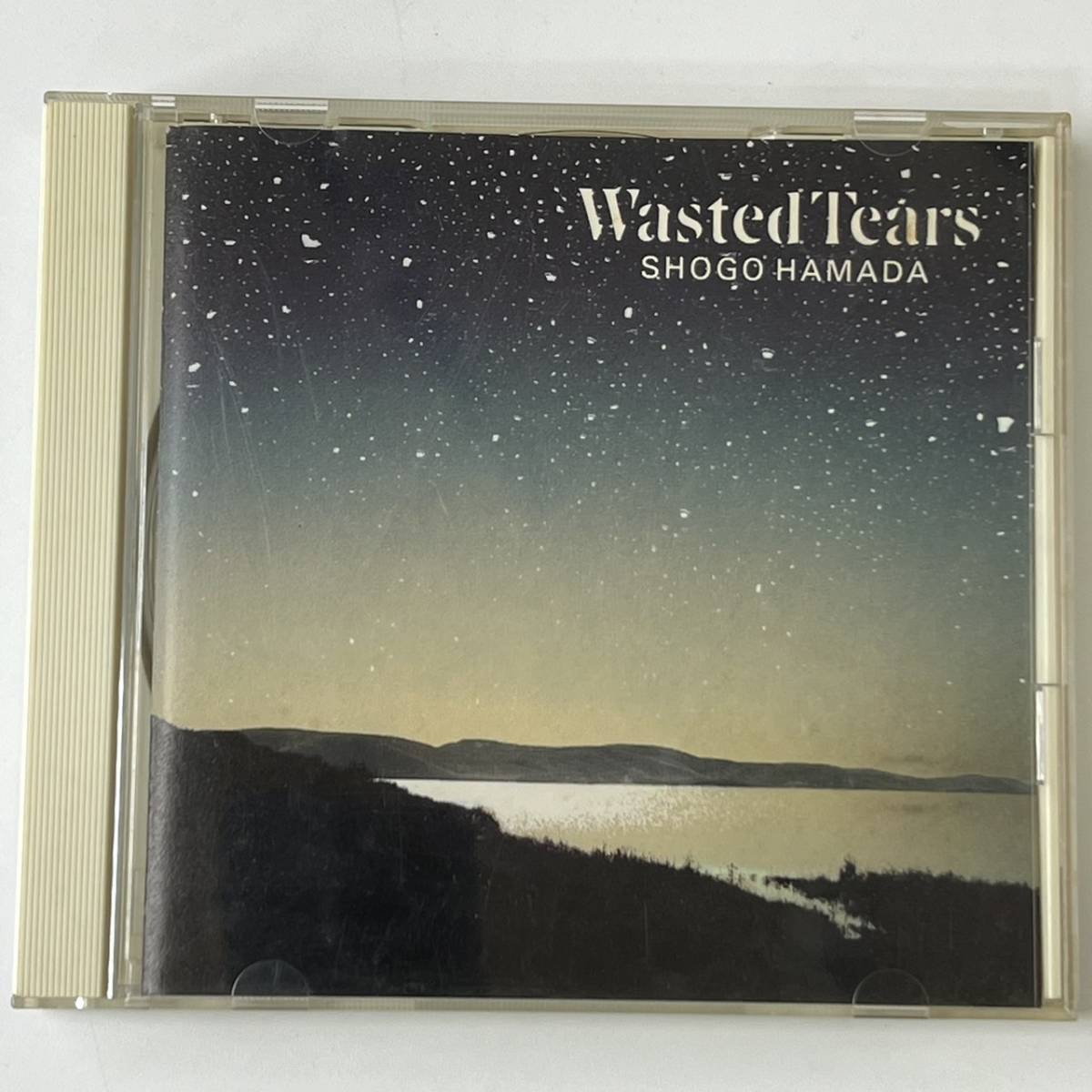 【やや傷や汚れあり】★★ 激レア ★★ 浜田省吾 / WASTED TEARS CDアルバム ★★ SHOGO HAMADA / WASTED TEARS ★★ HD-447の落札情報詳細 ...