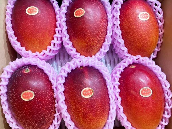 【未使用】【Good】今季最終！超大玉4L限定『宮崎完熟マンゴー』 4Lたっぷり6玉 約3.3kgの落札情報詳細 - ヤフオク落札価格検索 オークフリー