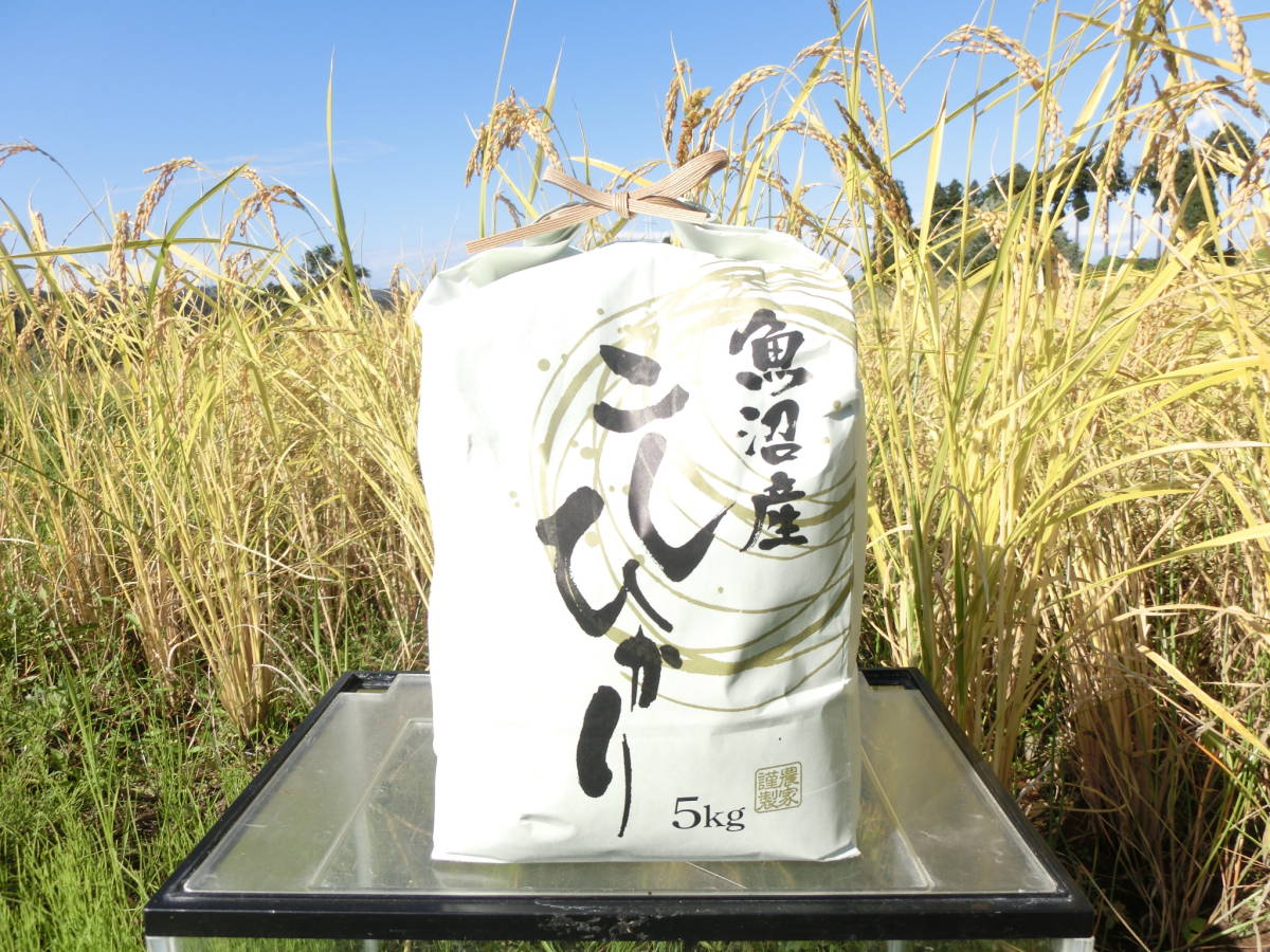 【未使用】＜新米＞直売ですよ！食べ比べてください！（ 令和6年10月収穫）＜魚沼産こしひかり＞・（白米）10kg・育苗～精米までワンチーム！！の落札情報詳細 - Yahoo!オークション落札 ...