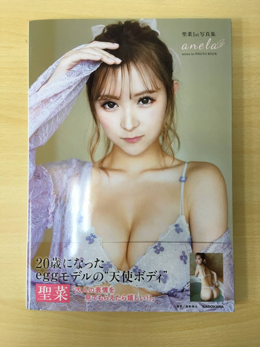 【やや傷や汚れあり】015 T-930/【1円スタート!!】聖菜1st写真集 anelaの落札情報詳細 - Yahoo!オークション落札価格検索 オークフリー