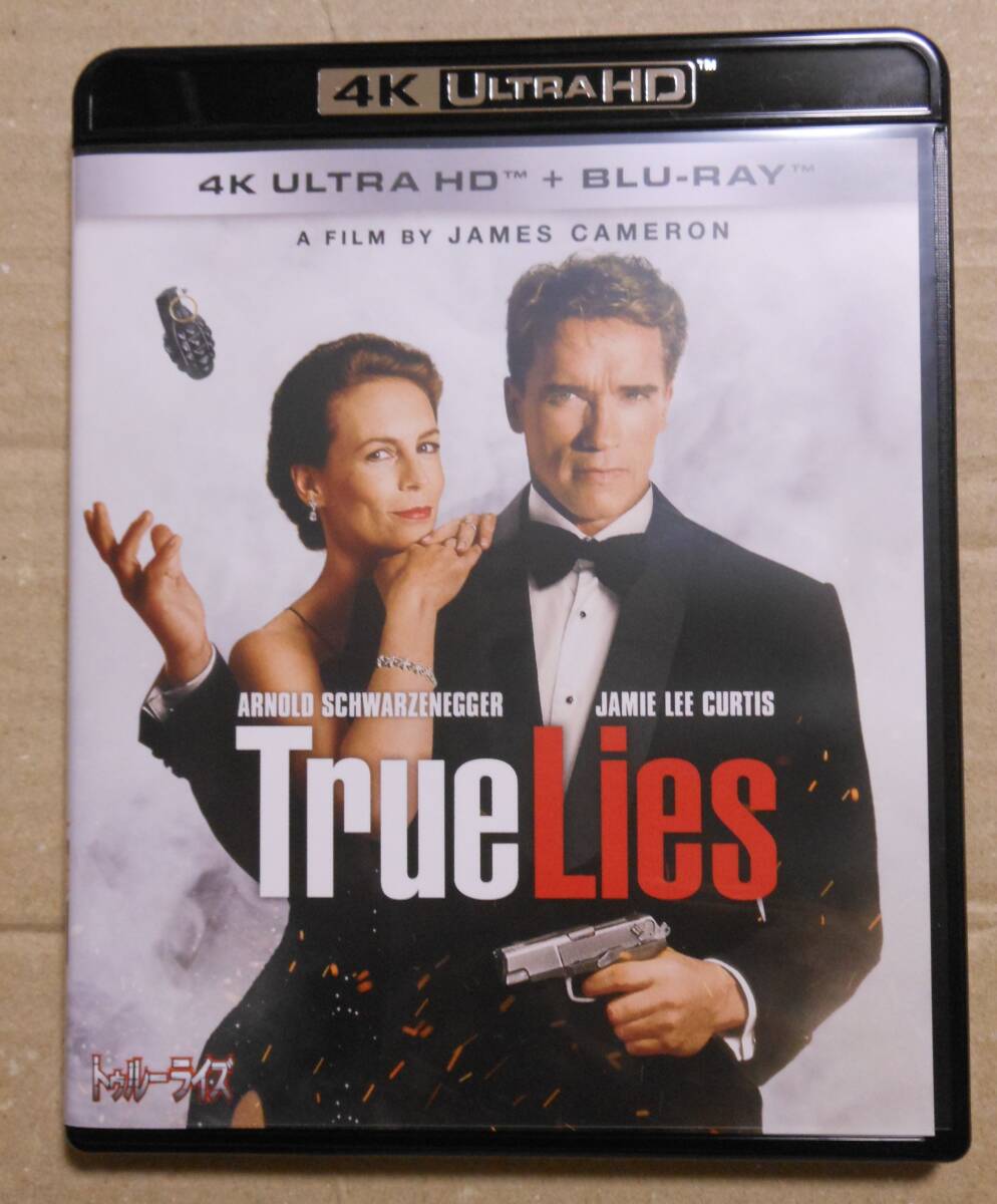 【中古】cb12100『ターミネーター』木村知生イラスト大判チラシ ジェームズ・キャメロン アーノルド・シュワルツェネッガー マイケル・ビーン ...