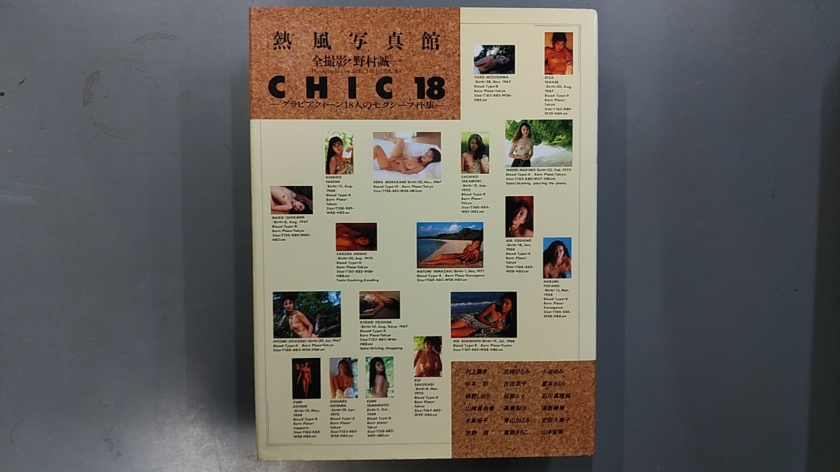 熱風写真館chic18 グラビアクィーン18人のセクシーフォト集 野村誠一 スコラ 1990初版の落札情報詳細 - Yahoo!オークション落札価格検索 オークフリー