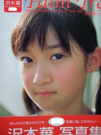 【目立った傷や汚れなし】★プレミア本！サイン入り 沢木華セクシー写真集 ＜Palm Tree＞Vol.05の落札情報詳細 - Yahoo!オークション落札価格検索 オークフリー